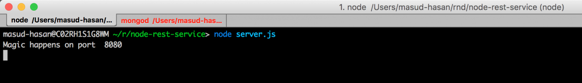 Create Node Server With Express And Mongodb Javascript Debugger